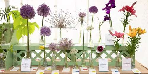 Rhode Island Statewide Fairs & Festivals Calendar (RI) - VisitRI.com